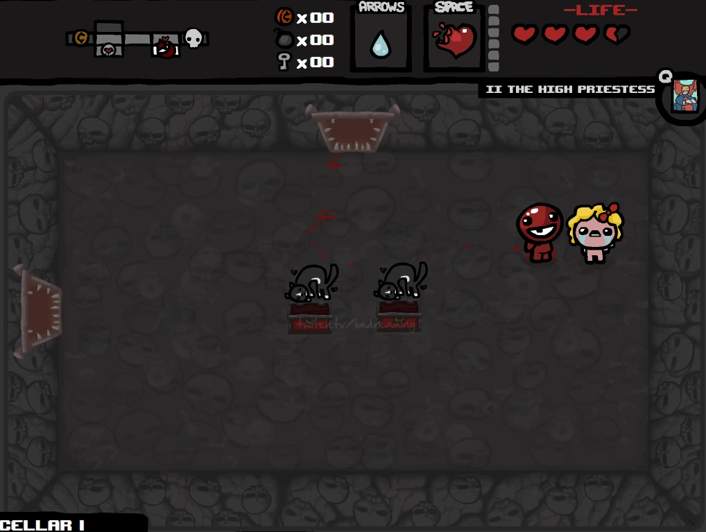 Dead Cat | The Binding of Isaac Wiki | Fandom