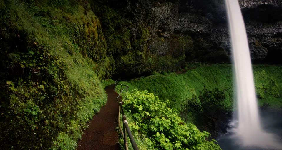 Homepage Image Reference: October 2009 | Bing Wiki | Fandom