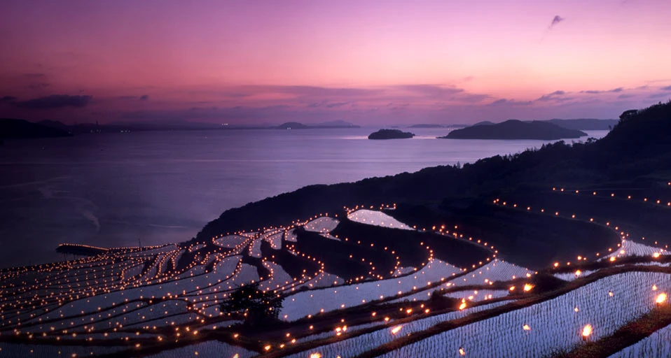 Terraced Rice Field | Bing Wiki | Fandom