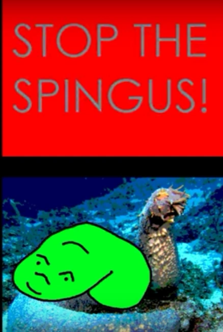 Spingus | Scrimmy Bingus Wikia | Fandom