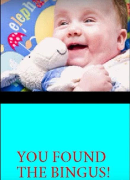 Bingus | Scrimmy Bingus Wikia | Fandom