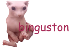 Bingus | Binguston Wiki | Fandom