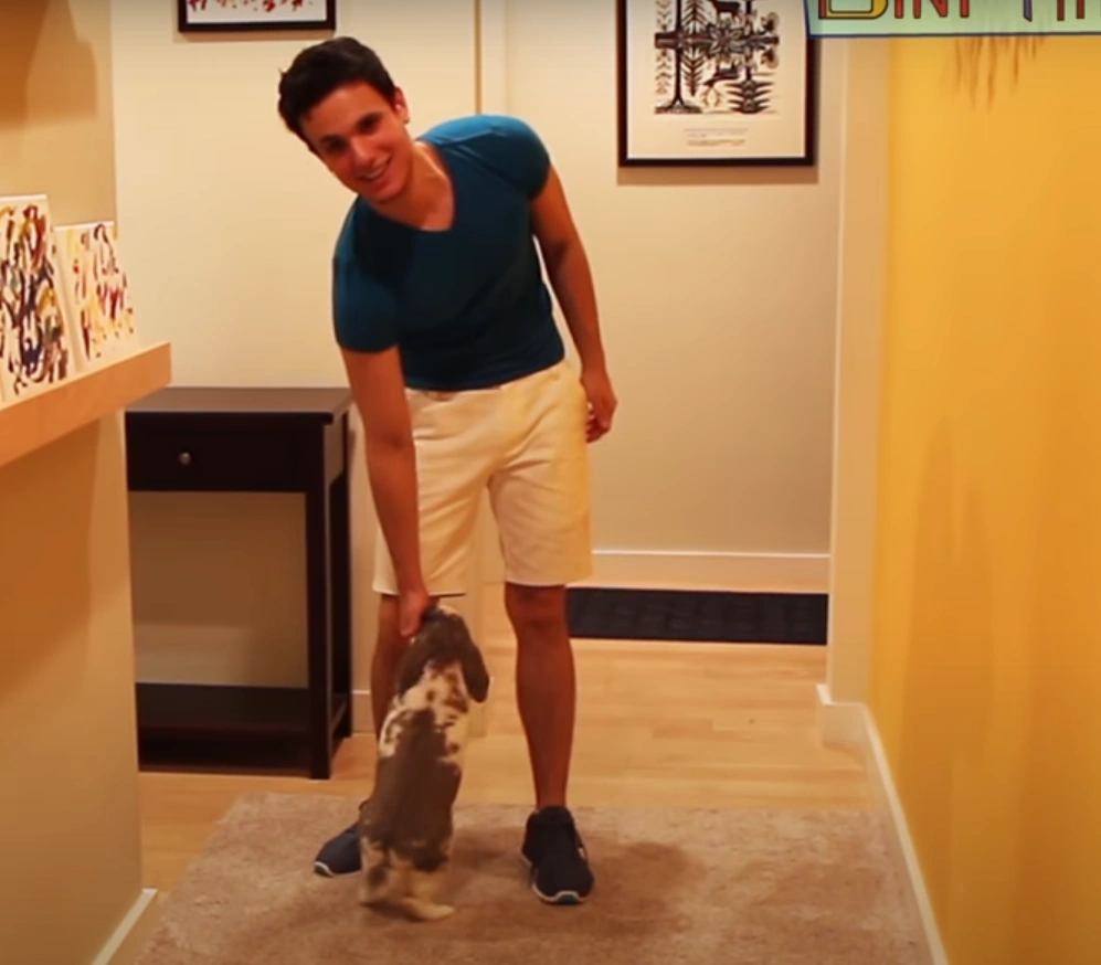 Up trick | Bini the Bunny Wiki | Fandom