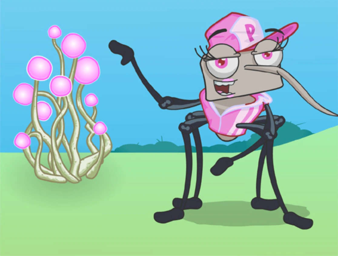 Pink | Bin Weevils Wiki | Fandom