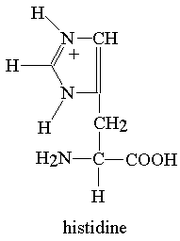 Histidine | Bioinformatics Wikia | Fandom