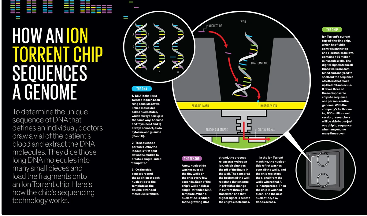 Category:Next-generation DNA sequencing techniques | Bioinformatics ...