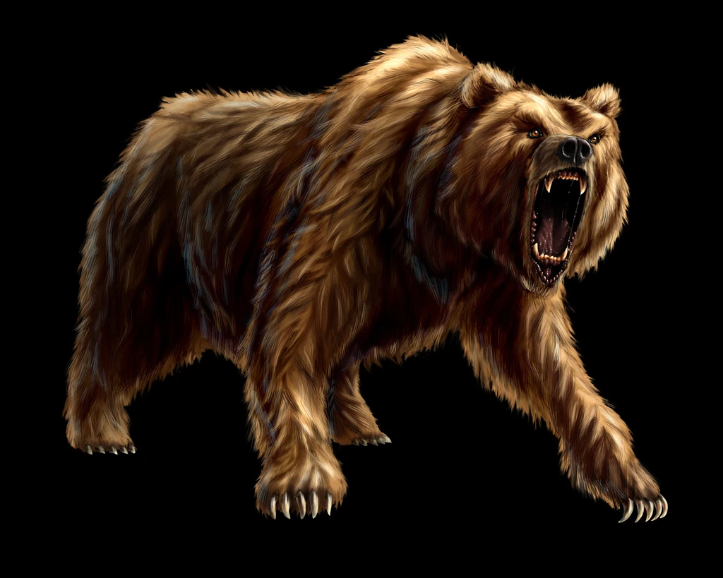 Grizzly bear | Bio-bytes biography Wiki | Fandom