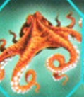 Octopus | Bio-bytes biography Wiki | Fandom