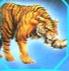 Tiger | Bio-bytes biography Wiki | Fandom