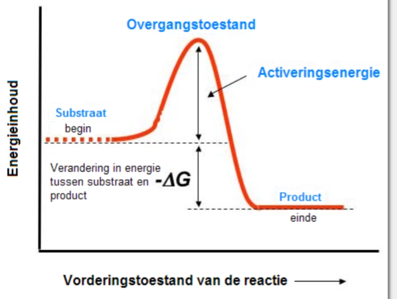 Werking van een katalysator | Biochemie Wiki | Fandom