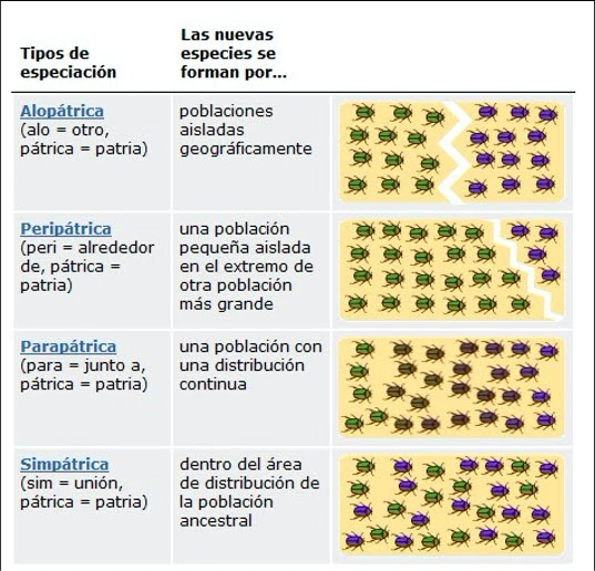 8. ¿Qué diferencias existen entre la especiación alopátrica y la ...