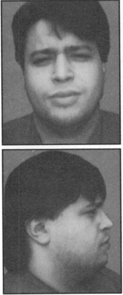 Popul Marko | Bioforge Wiki | Fandom