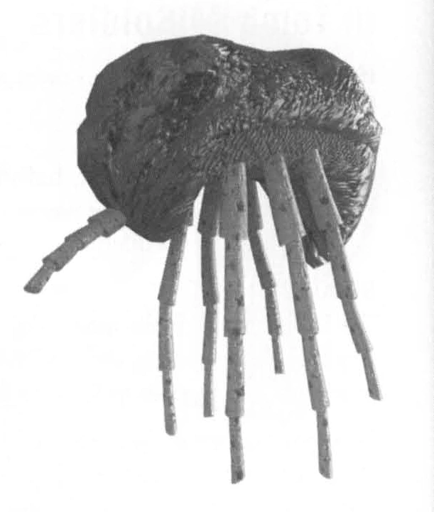 Floaters | Bioforge Wiki | Fandom