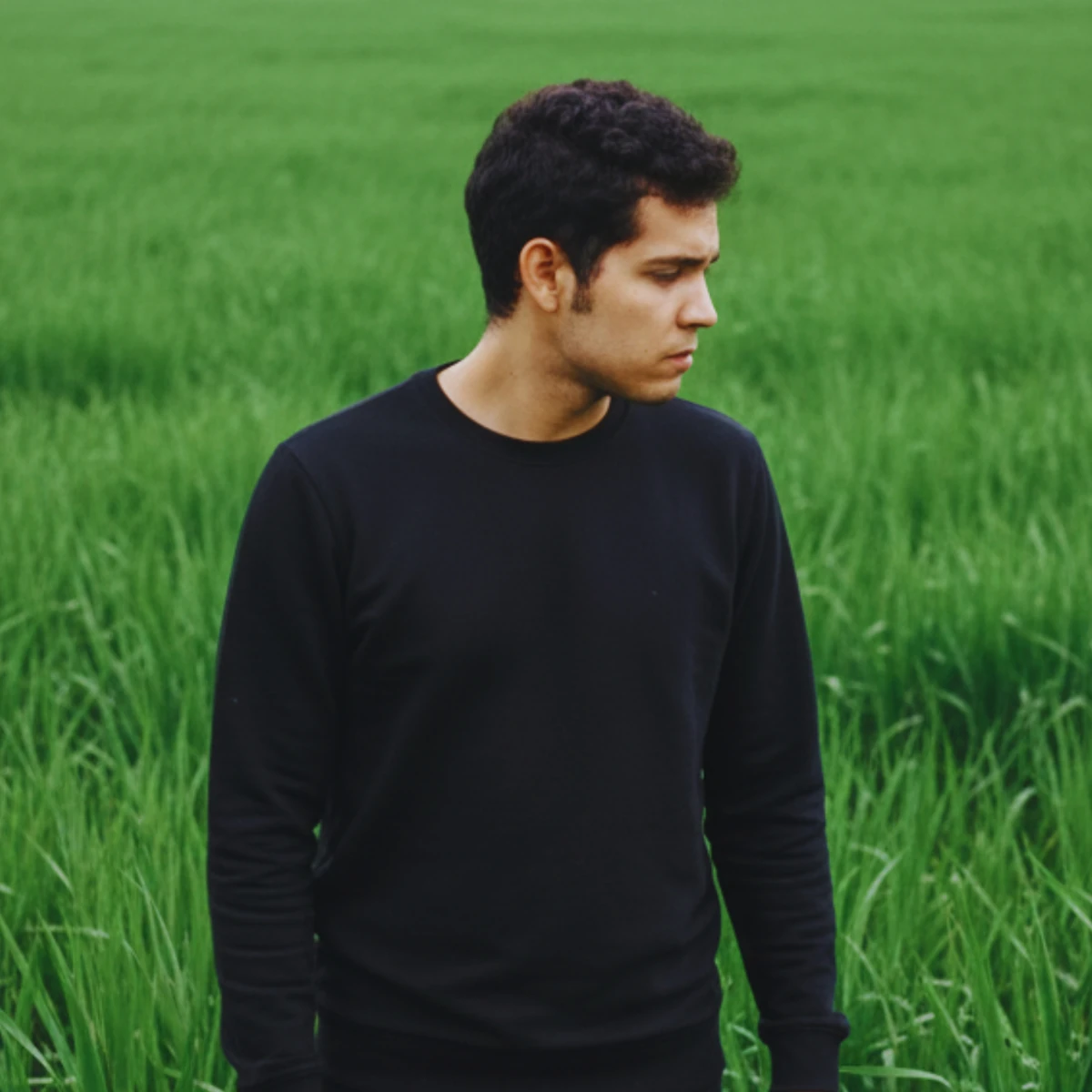 Felipe Renfro | Artigos biográficos Wiki | Fandom