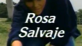 Rosa salvaje | Artigos biográficos Wiki | Fandom