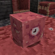 Primordial Cradle | Biomancy Mod Wiki | Fandom