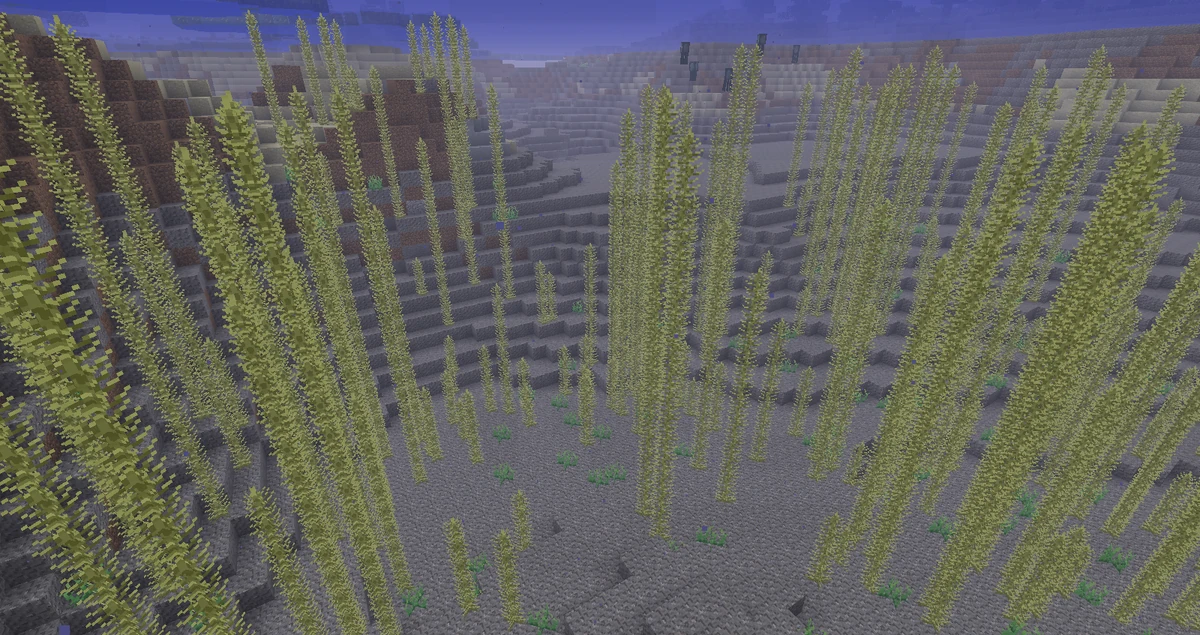 Forêt de Kelp | Wiki FR Biomes O'Plenty | Fandom