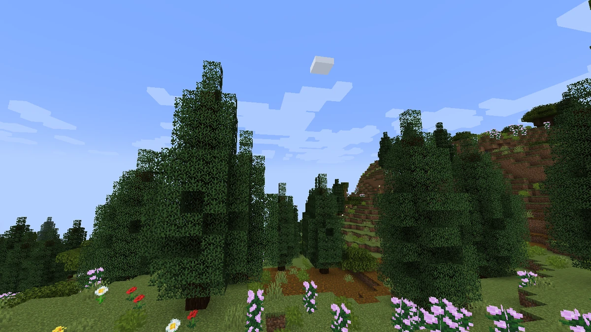 Cypress | Biomes O' Plenty Wiki | Fandom