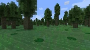 Bayou | Biomes O' Plenty Wiki | Fandom
