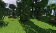 Bayou | Biomes O' Plenty Wiki | Fandom