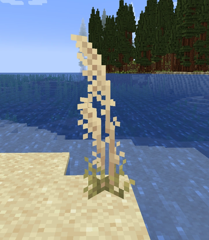 Sea Oats | Biomes O' Plenty Wiki | Fandom