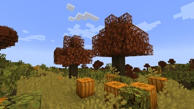 Orange Autumn Tree | Biomes O' Plenty Wiki | Fandom