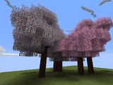 Category:Trees | Biomes O' Plenty Wiki | Fandom