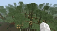 Bayou | Biomes O' Plenty Wiki | Fandom