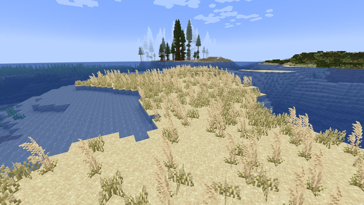 Dune Beach | Biomes O' Plenty Wiki | Fandom