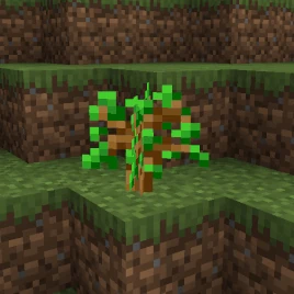 Saplings | Biomes O' Plenty Wiki | Fandom