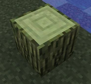 Willow Tree | Biomes O' Plenty Wiki | Fandom