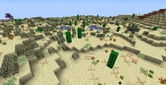 Xeric Shrubland | Biomes O' Plenty Wiki | Fandom