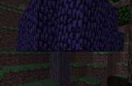 Jacaranda Tree | Biomes O' Plenty Wiki | Fandom