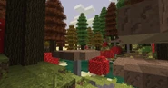 Fungi Forest (Overworld) | Biomes O' Plenty Wiki | Fandom
