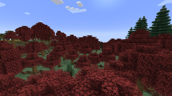 Maple Woods | Biomes O' Plenty Wiki | Fandom