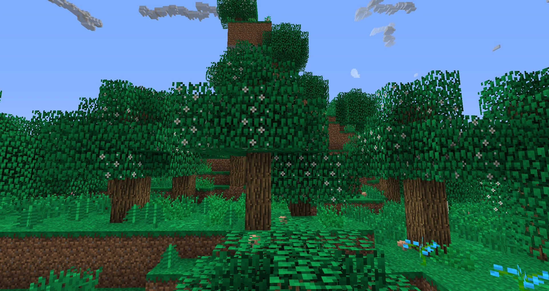 Flowering Oak Tree | Biomes O' Plenty Wiki | Fandom