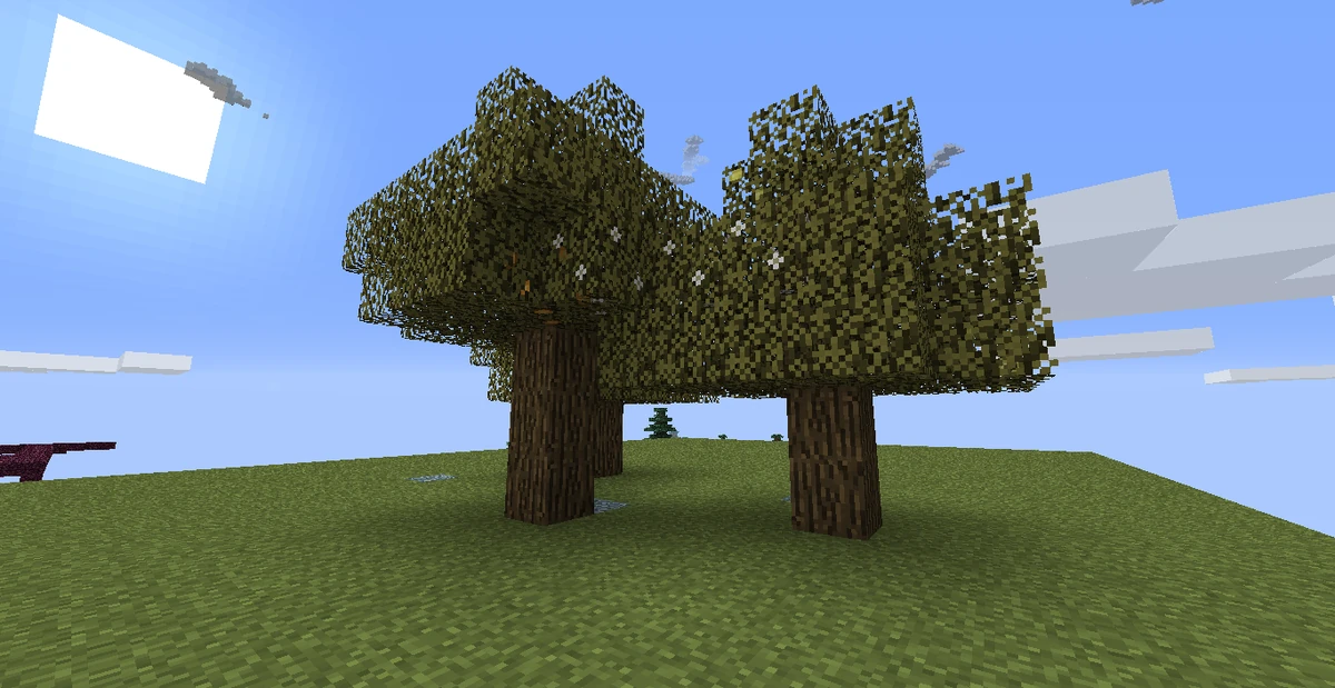 Persimmon Tree | Biomes O' Plenty Wiki | Fandom