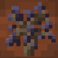 Jacaranda Tree | Biomes O' Plenty Wiki | Fandom