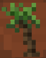 Palm Tree | Biomes O' Plenty Wiki | Fandom