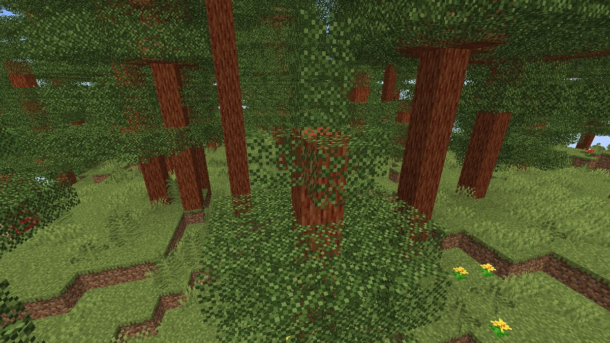 Temperate Rainforest Hills | Biomes O' Plenty Wiki | Fandom