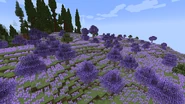 Jacaranda Glade | Biomes O' Plenty Wiki | Fandom