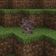 Saplings | Biomes O' Plenty Wiki | Fandom