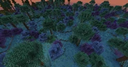 Mystic Grove | Biomes O' Plenty Wiki | Fandom