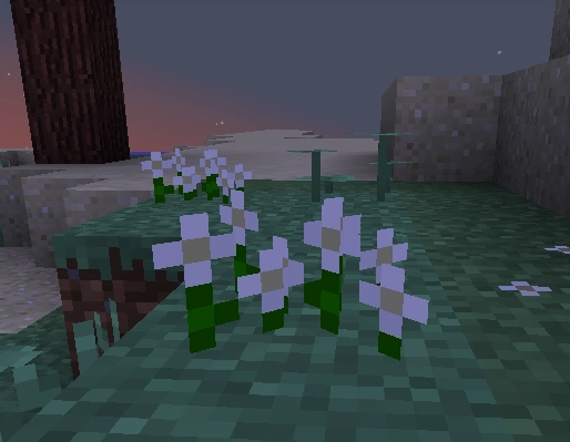 White Anemone | Biomes O' Plenty Wiki | Fandom