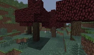 Maple Tree | Biomes O' Plenty Wiki | Fandom
