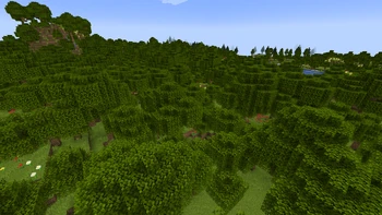 Woodland | Biomes O' Plenty Wiki | Fandom