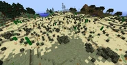 Xeric Shrubland | Biomes O' Plenty Wiki | Fandom