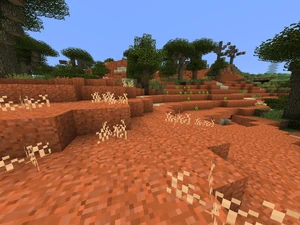 Ruby Biomes | Biomes O' Plenty Wiki | Fandom