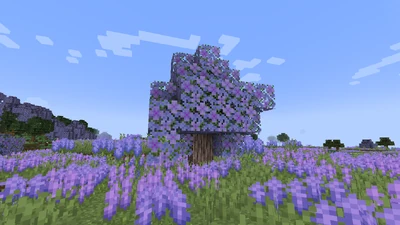 Jacaranda Tree | Biomes O' Plenty Wiki | Fandom