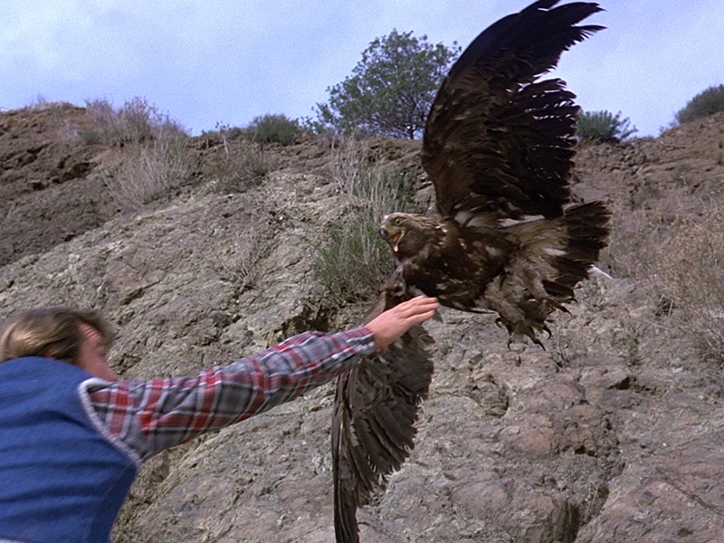 To Catch the Eagle | The Bionic Wiki | Fandom